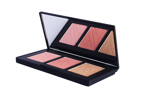Pro Cheek Palette – Modern Basic Cosmetics